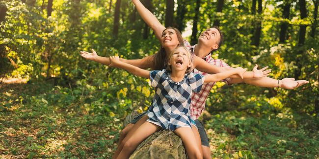 Journée Internationale des Forêts : sortie nature en famille avec ...